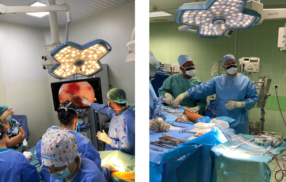 Endoscopic Vessel Harvesting Training and Education
