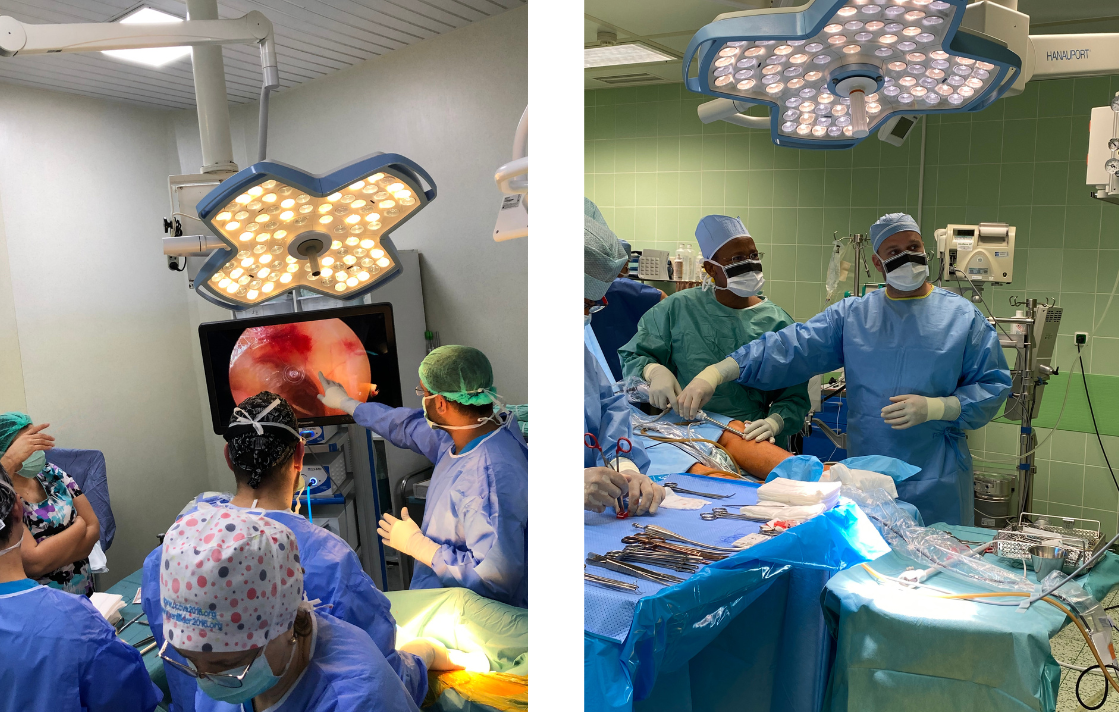 Endoscopic Vessel Harvesting Training and Education